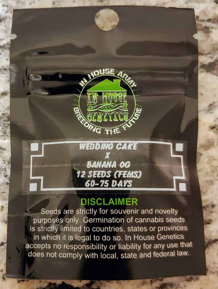 In House Genetics Banana Cake - Luscious Genetics