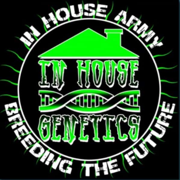 In House Genetics - Luscious Genetics