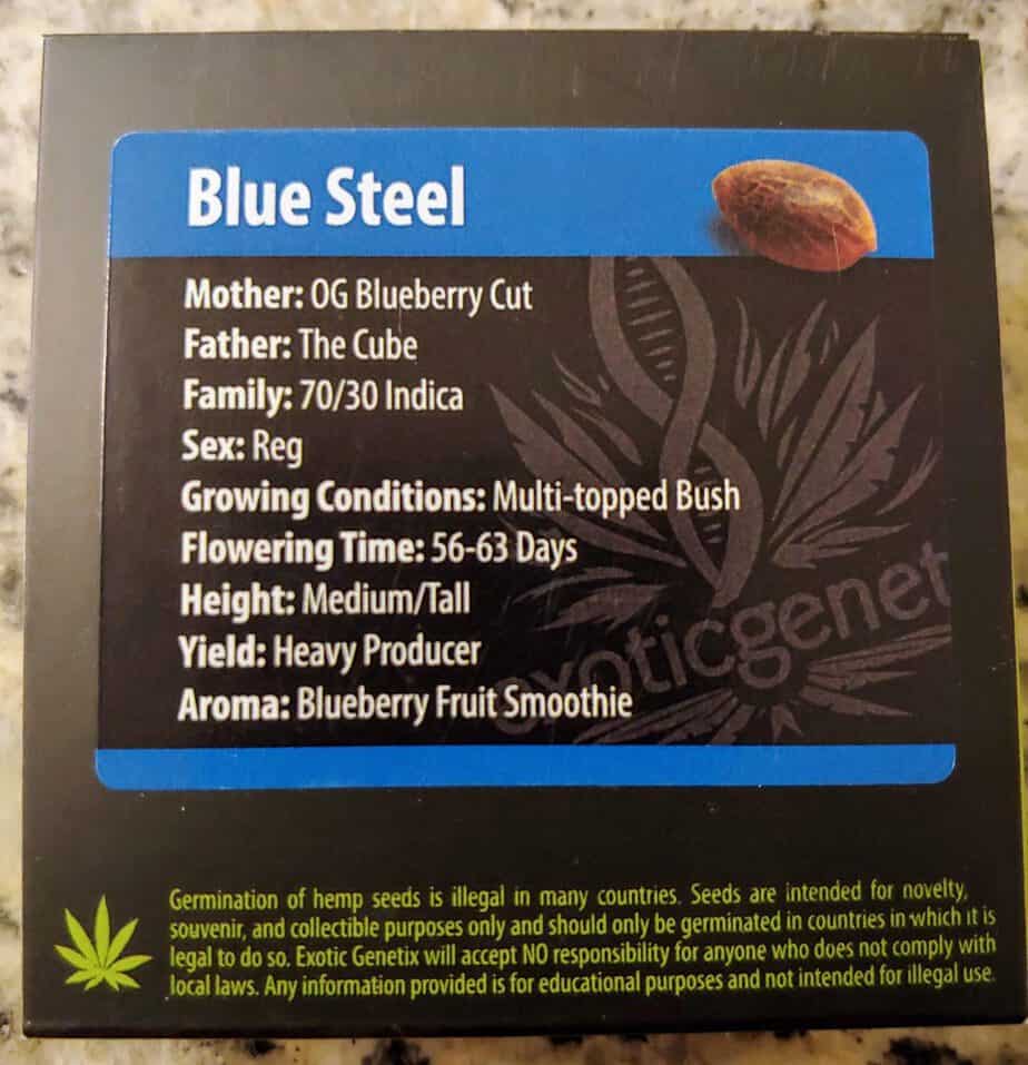 Exotic Genetix Blue Steel - Luscious Genetics
