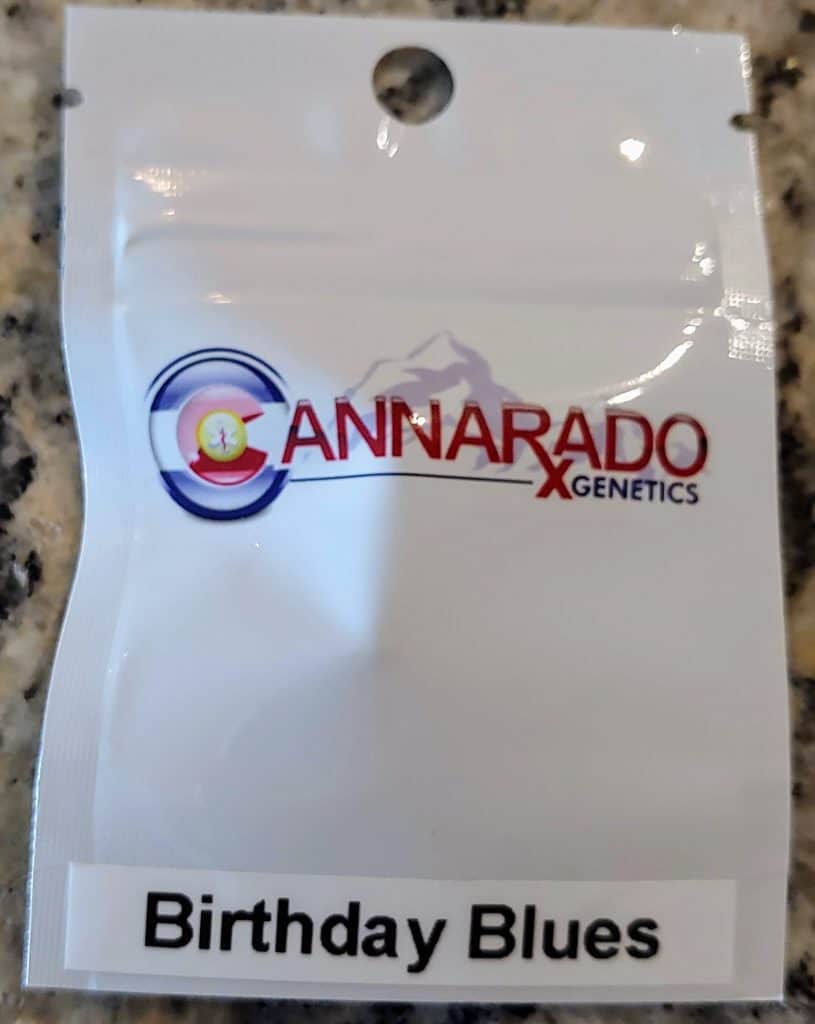 Cannarado Genetics Birthday Blues - Luscious Genetics