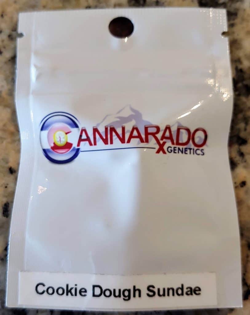 Cannarado Genetics Cookie Dough Sundae - Luscious Genetics