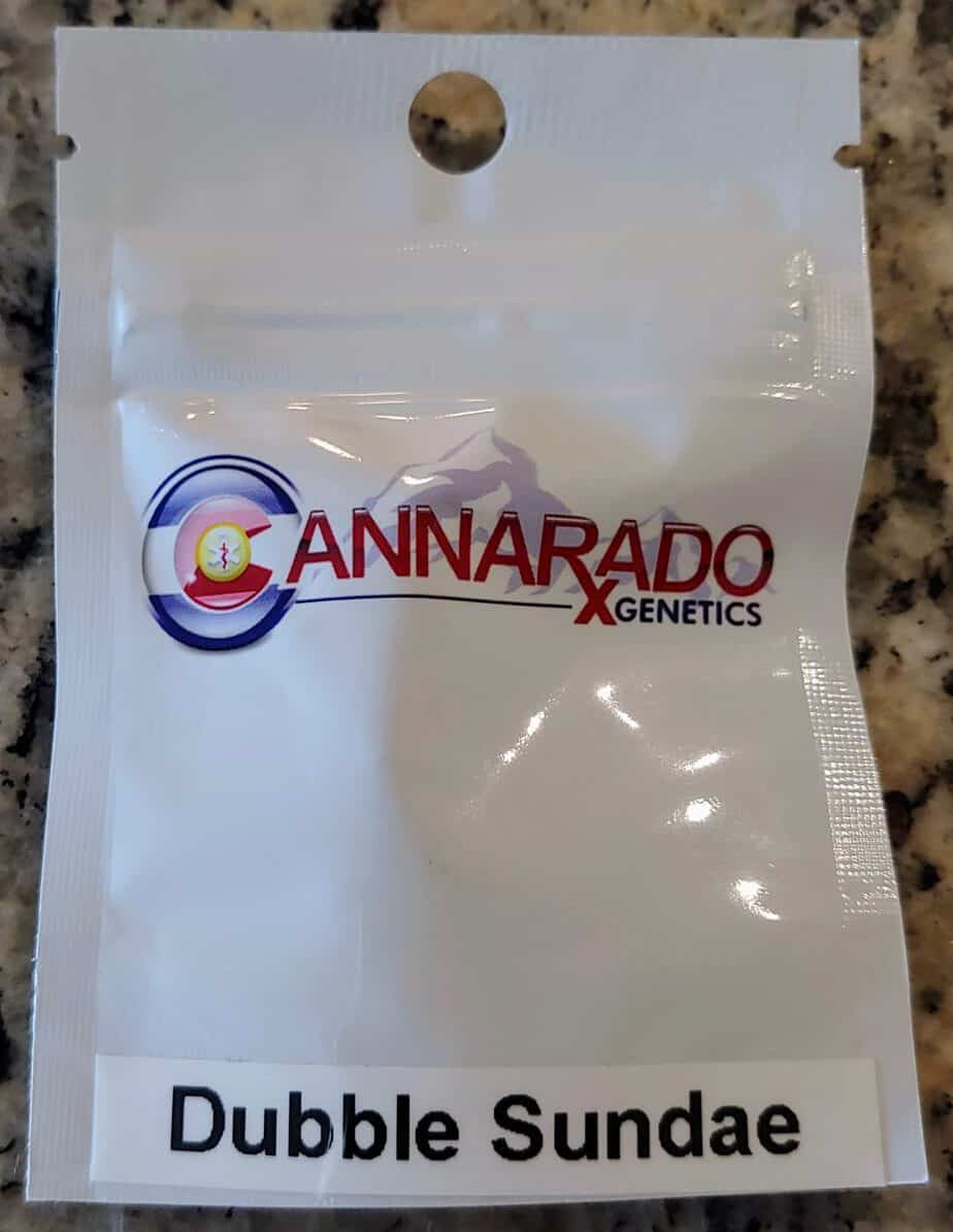 Cannarado Genetics Dubble Sundae - Luscious Genetics
