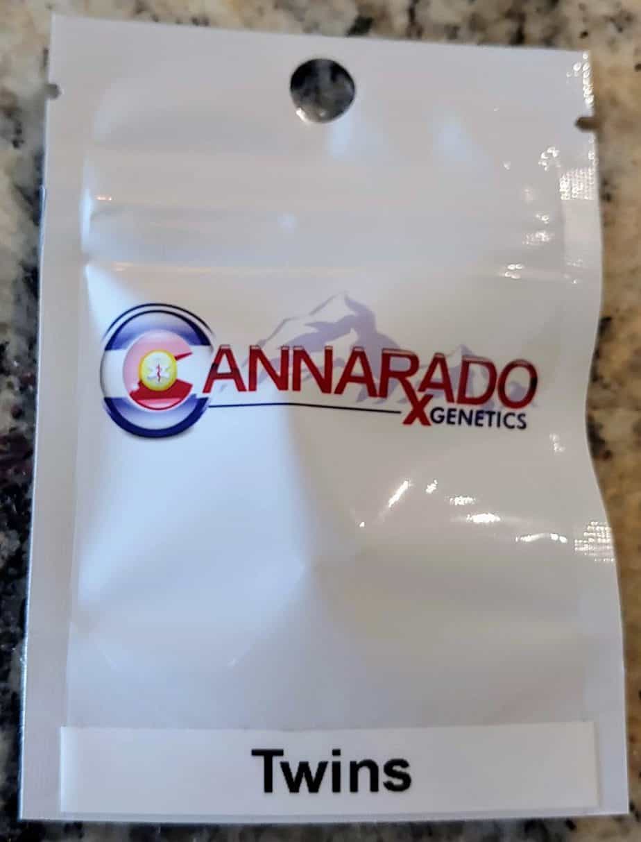 Cannarado Genetics Twins - Luscious Genetics