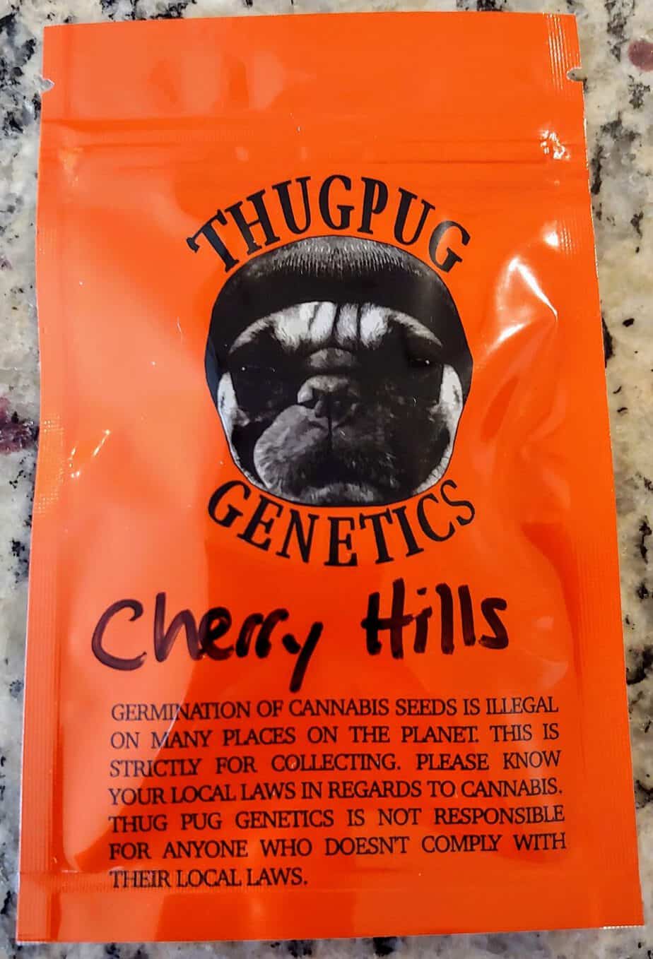Thug Pug Genetics Cherry Hills - Luscious Genetics