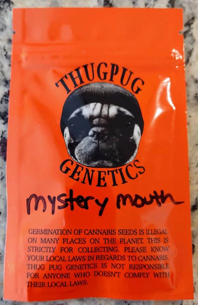 Thug Pug Genetics Mystery Mouth - Luscious Genetics