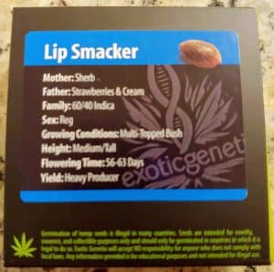 Home - Luscious Genetics