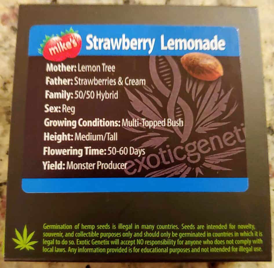 Exotic Genetix Mike's Strawberry Lemonade - Luscious Genetics