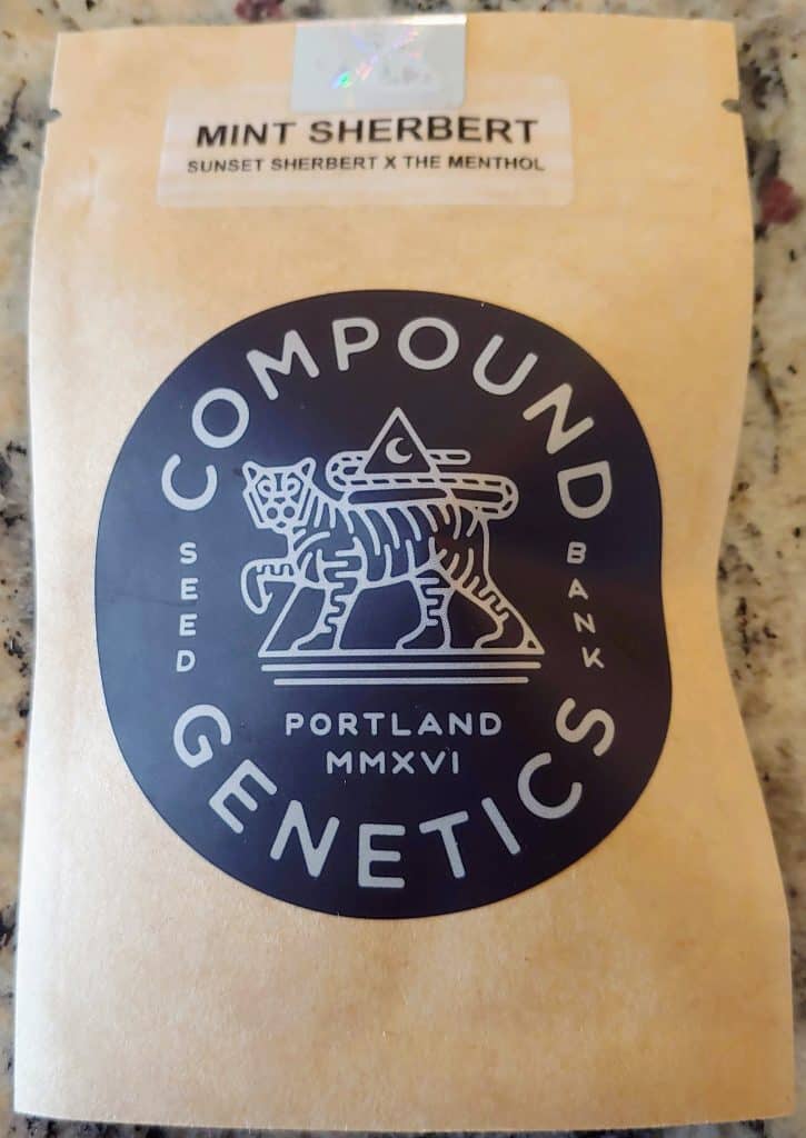 Compound Genetics Mint Sherbert - Luscious Genetics