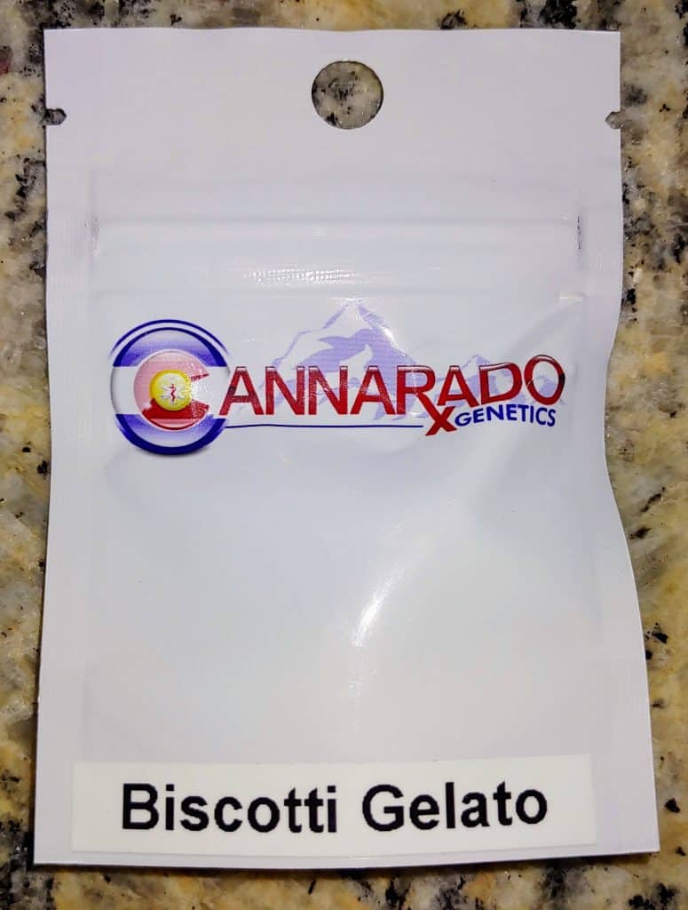 Cannarado Genetics Biscotti Gelato - Luscious Genetics