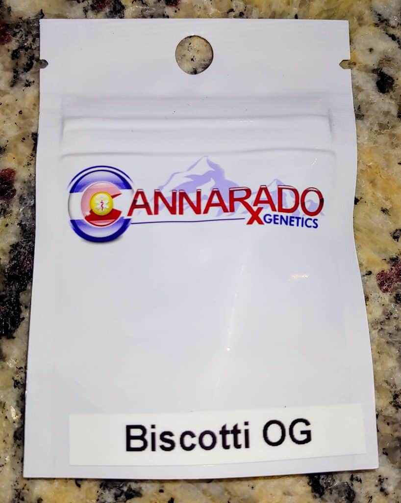 Cannarado Genetics Biscotti OG - Luscious Genetics