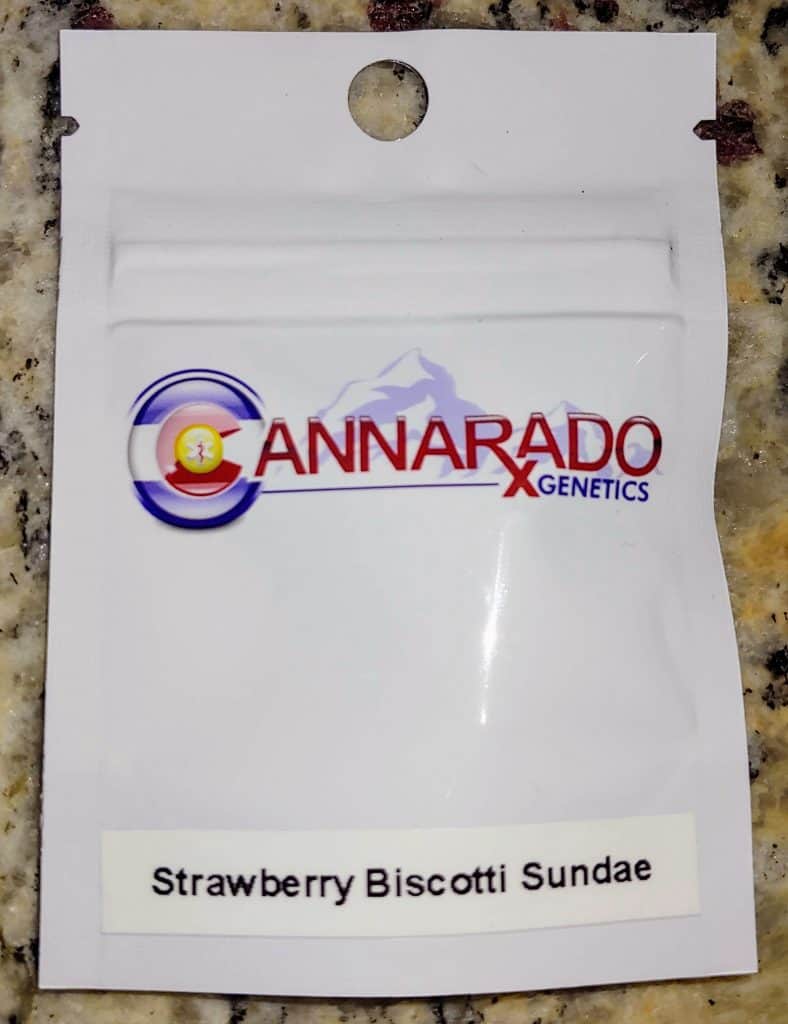 Cannarado Genetics Strawberry Biscotti Sundae - Luscious Genetics