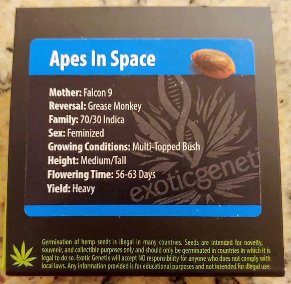 Exotic Genetix Apes In Space(Fem) - Luscious Genetics