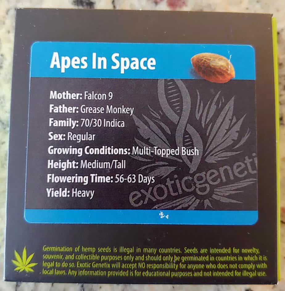 Exotic Genetix - Luscious Genetics