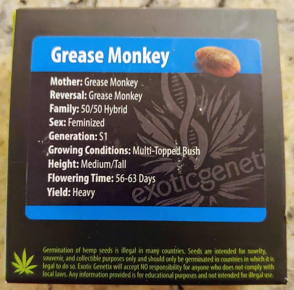 Exotic Genetix Grease Monkey(Fem) - Luscious Genetics