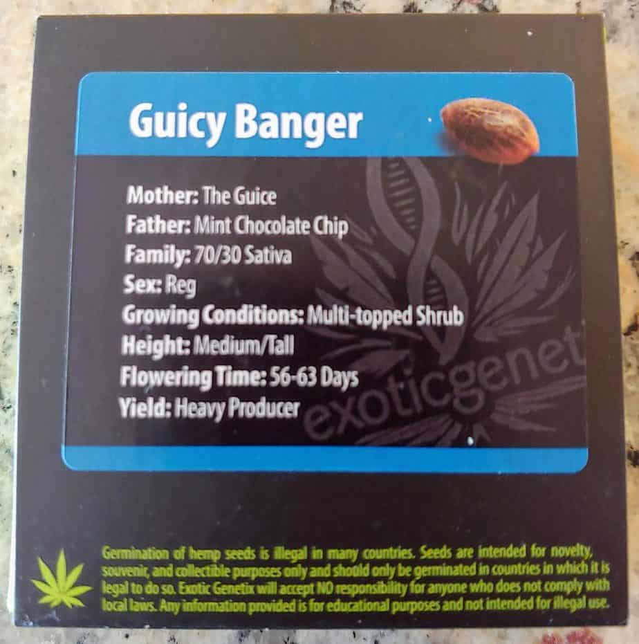 Exotic Genetix - Luscious Genetics