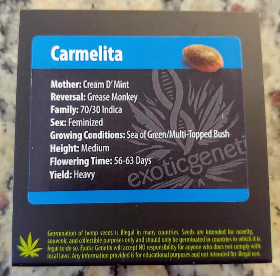 Exotic Genetix - Luscious Genetics