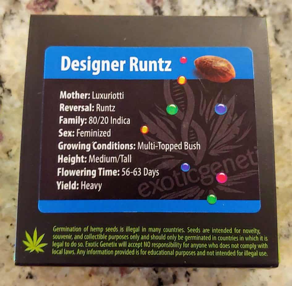 Exotic Genetix Designer Runtz (Fem) - Luscious Genetics
