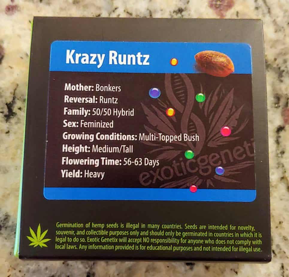 Exotic Genetix Krazy Runtz (Fem) - Luscious Genetics