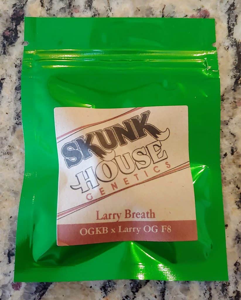 Skunk House Genetics Larry Breath - Luscious Genetics