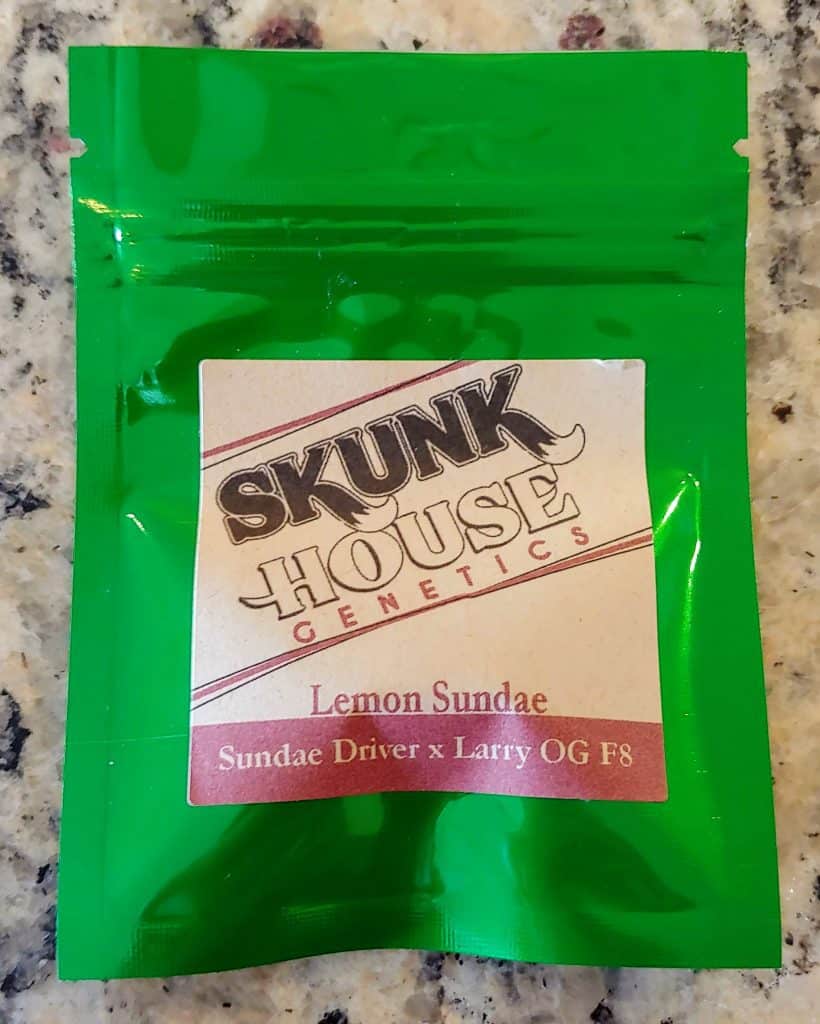 Skunk House Genetics Lemon Sundae - Luscious Genetics