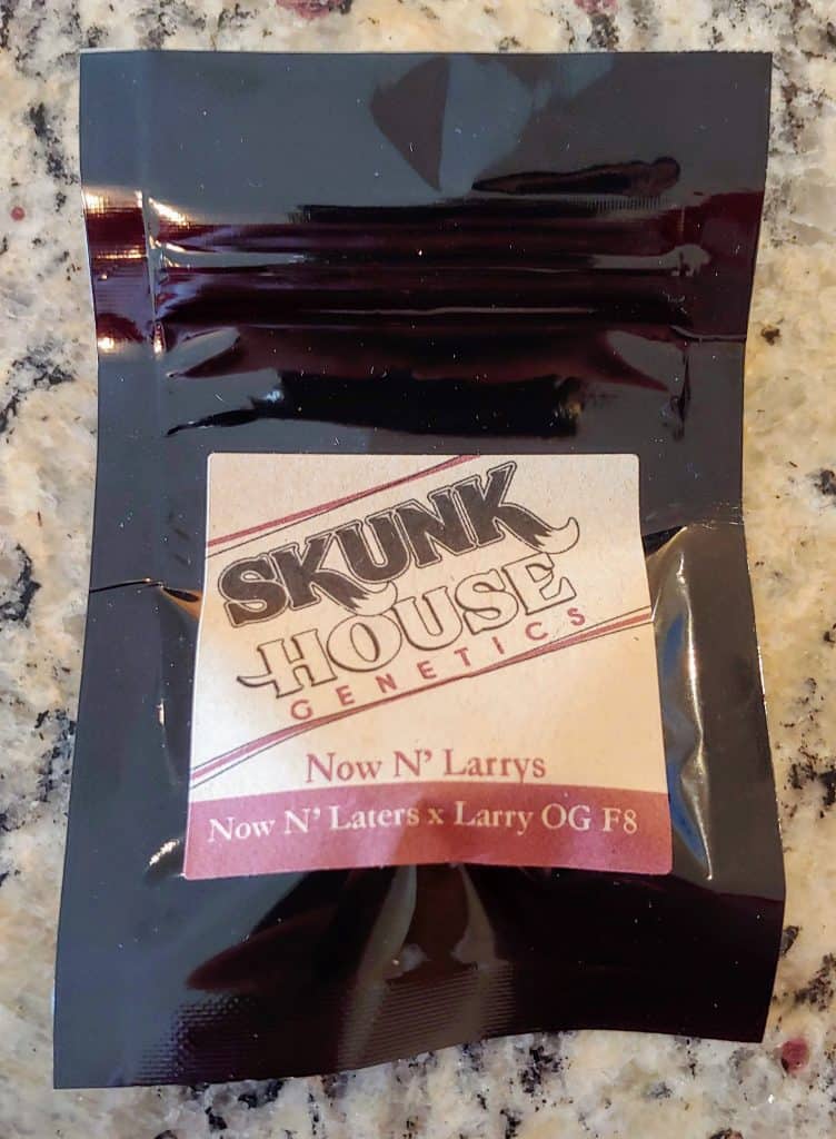 Skunk House Genetics Now N' Larrys - Luscious Genetics