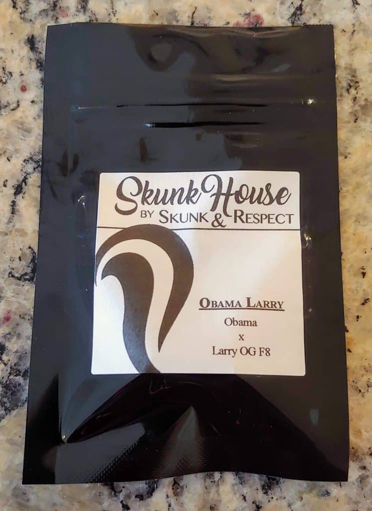 Skunk House Genetics - Luscious Genetics