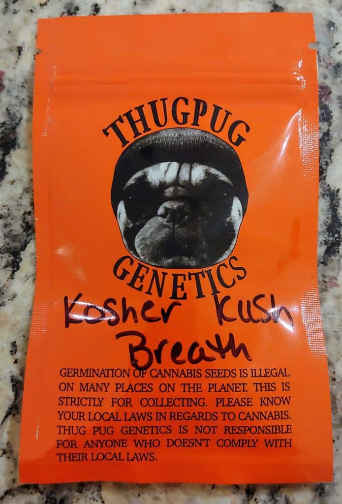 Thug Pug Genetics Kosher Kush Breath - Luscious Genetics