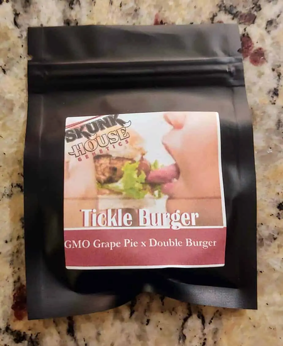 Skunk House Genetics Tickle Burger - Luscious Genetics