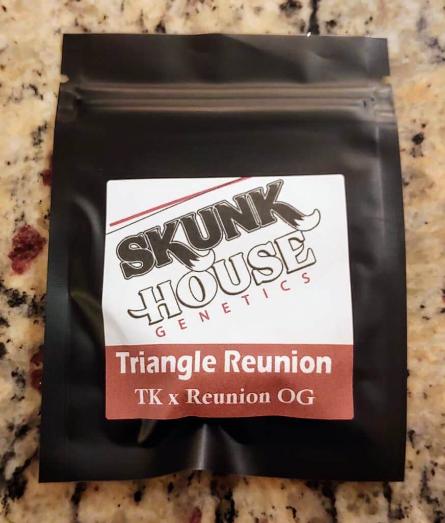 Skunk House Genetics Triangle Reunion - Luscious Genetics