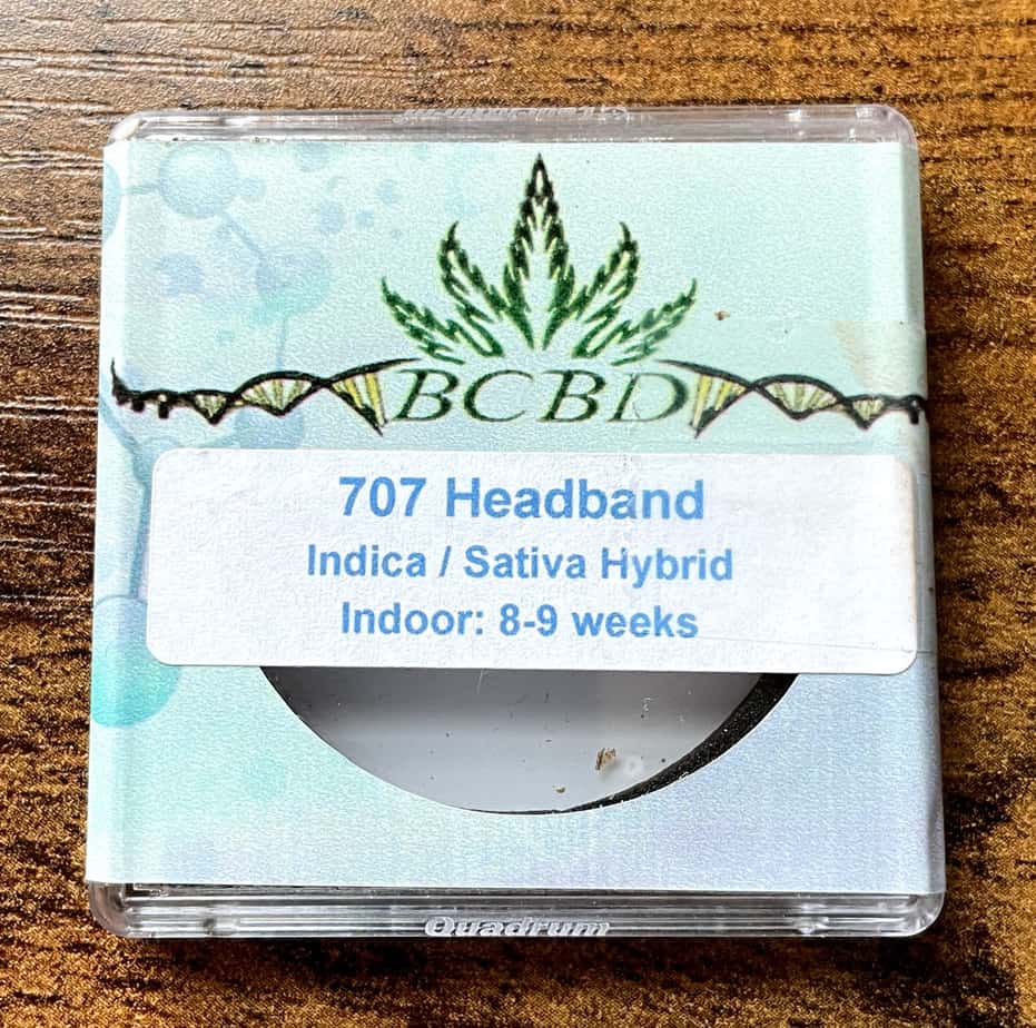 BC Bud Depot 707 Headband - Luscious Genetics