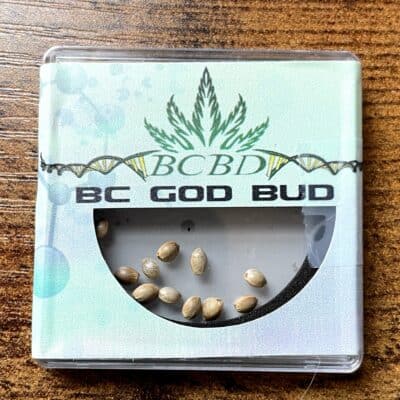 Shop - Luscious Genetics