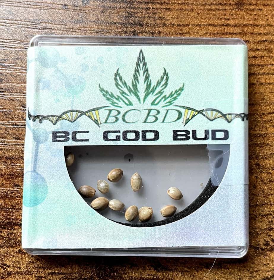 Jaws Genetics - Luscious Genetics