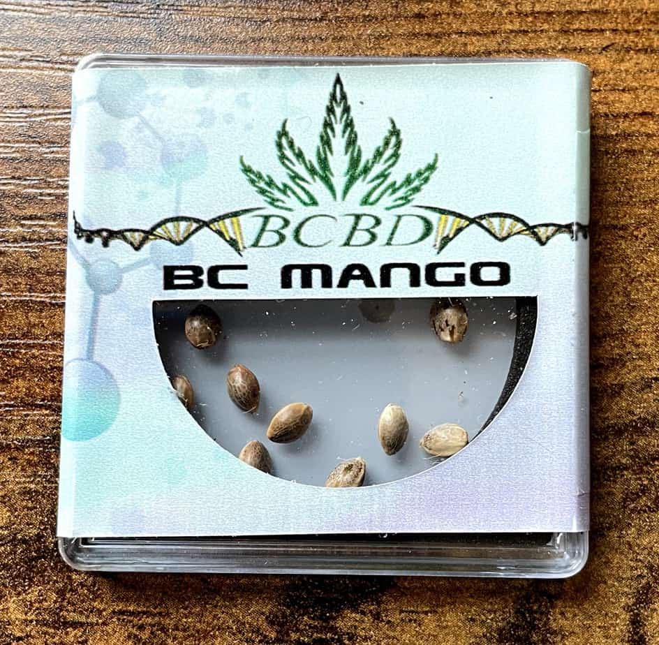 Shop - Luscious Genetics