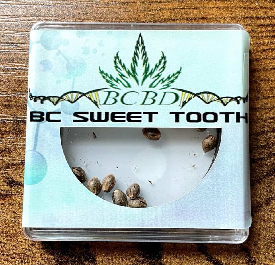 Shop - Luscious Genetics