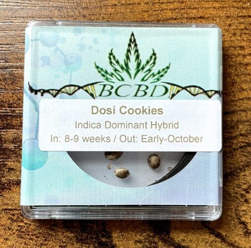 BC Bud Depot Dosi Cookies - Luscious Genetics