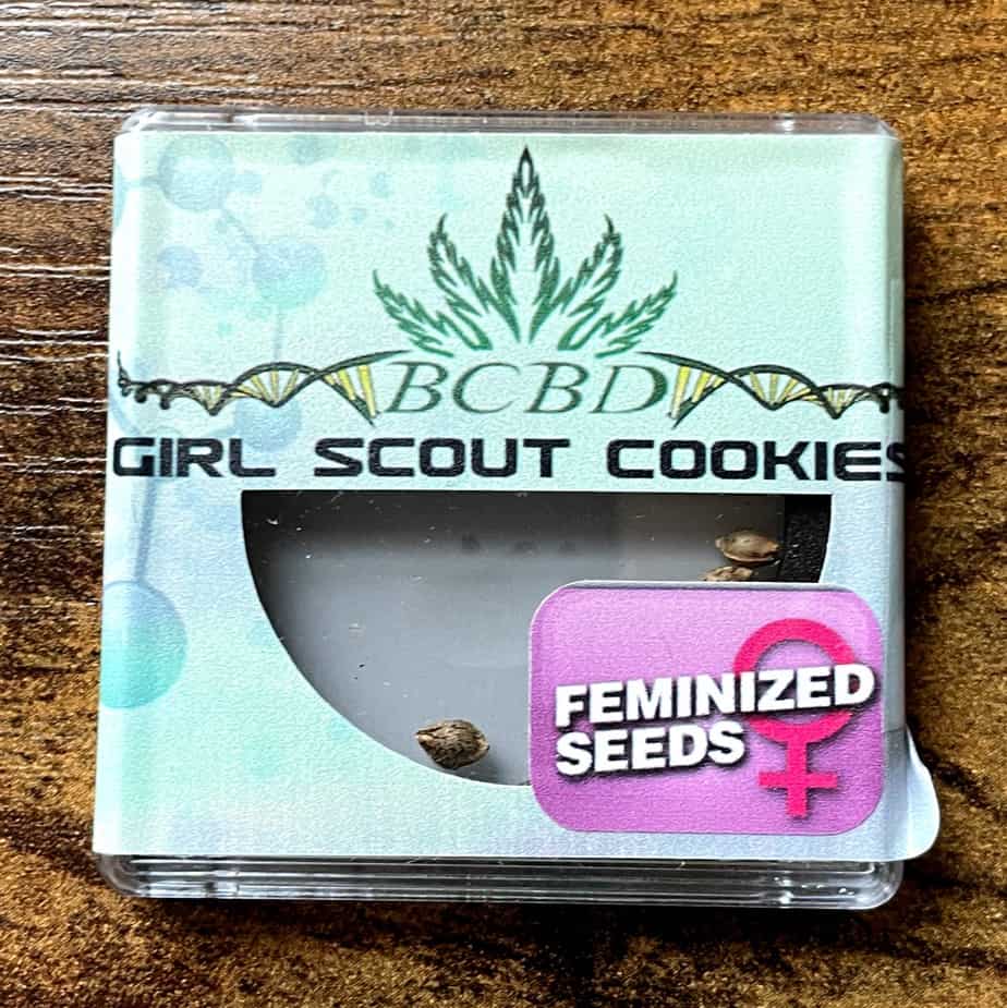 BC Bud Depot Girl Scout Cookies(F) - Luscious Genetics