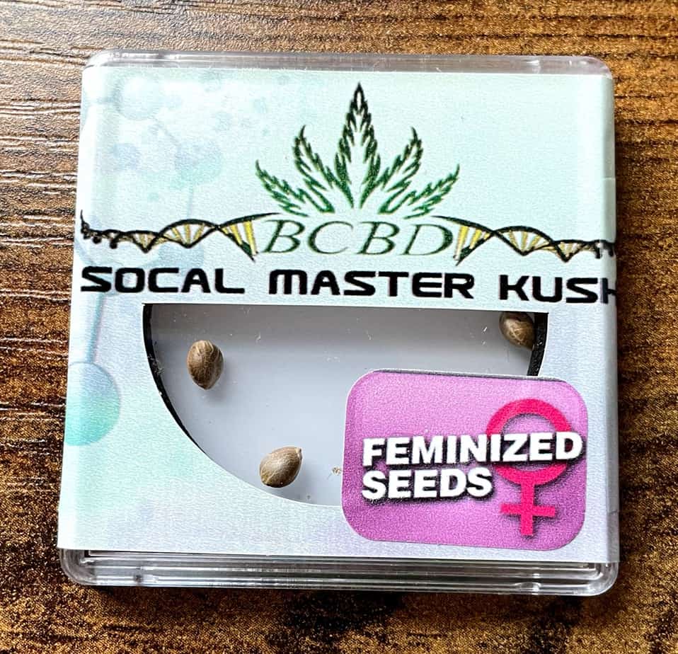 BC Bud Depot SoCal Master Kush(F) - Luscious Genetics