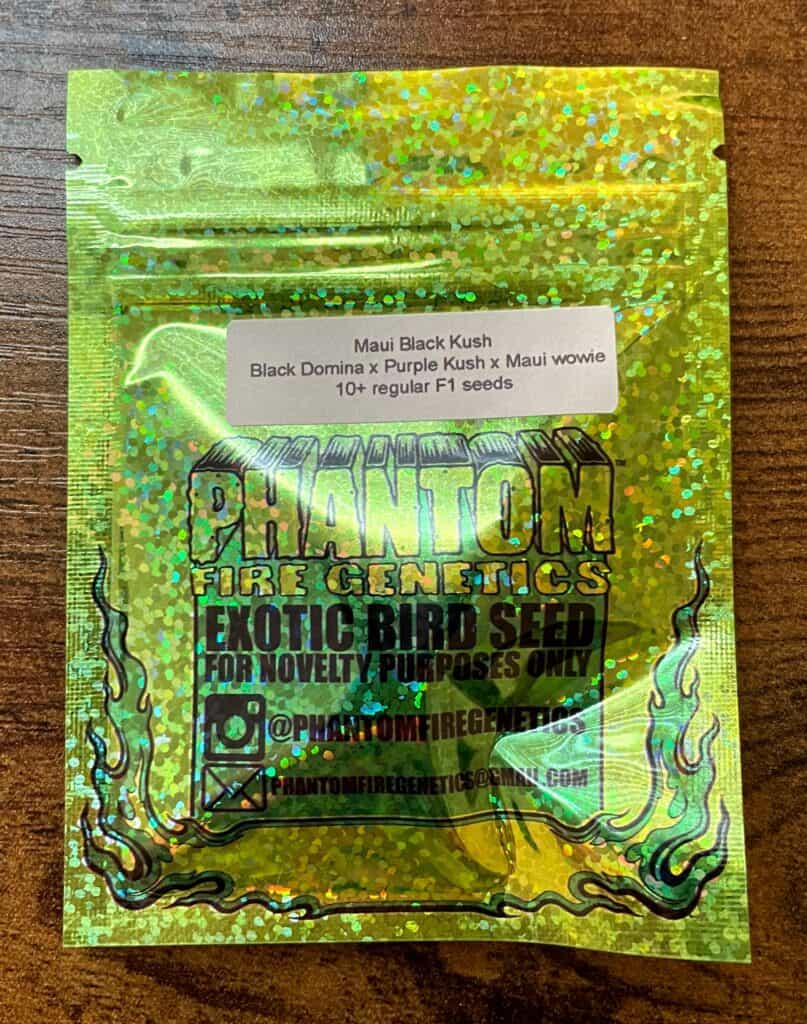 Phantom Fire Genetics Maui Black Kush - Luscious Genetics