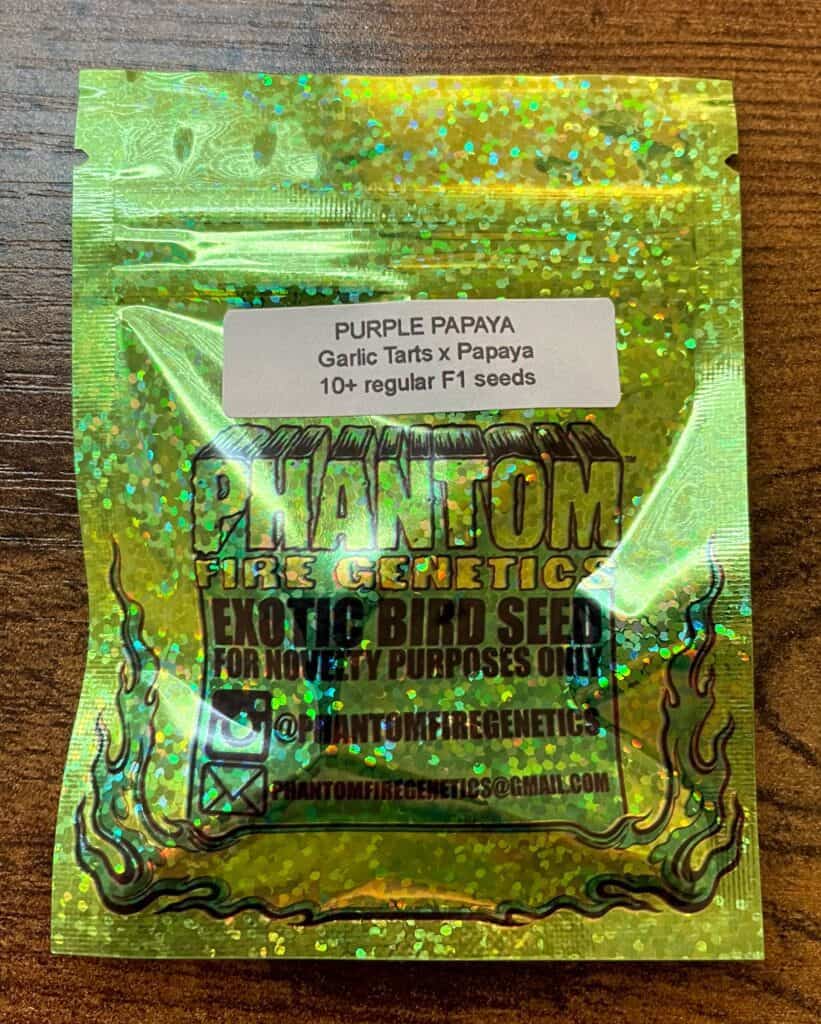 Phantom Fire Genetics Purple Papaya - Luscious Genetics