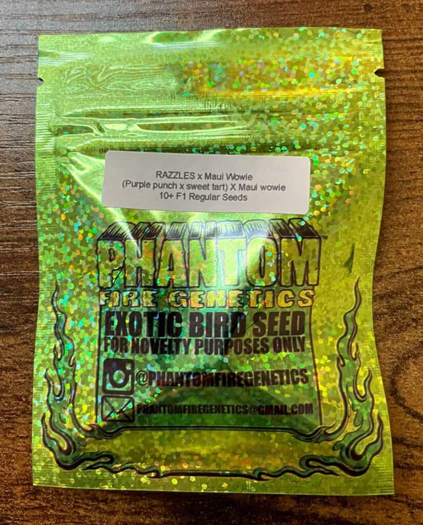 Phantom Fire Genetics Wowwee Maui - Luscious Genetics