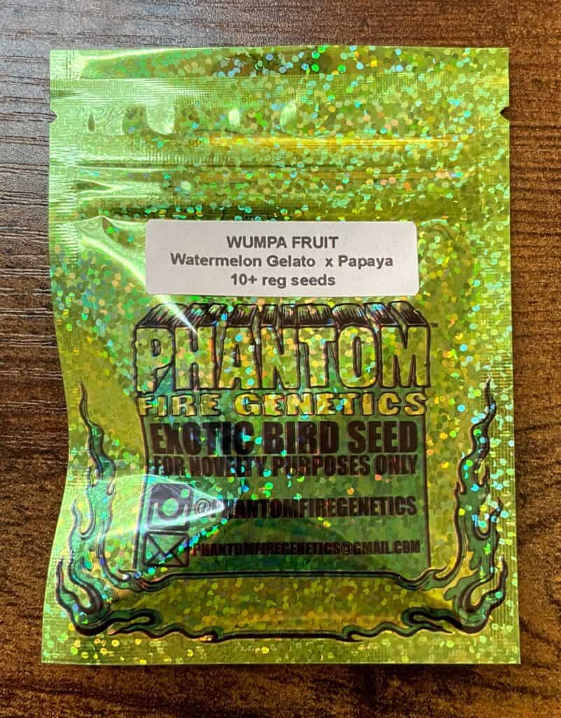 Phantom Fire Genetics Wumpa Fruit - Luscious Genetics