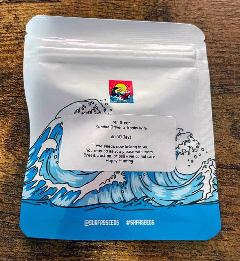 Surfr Seeds - Luscious Genetics