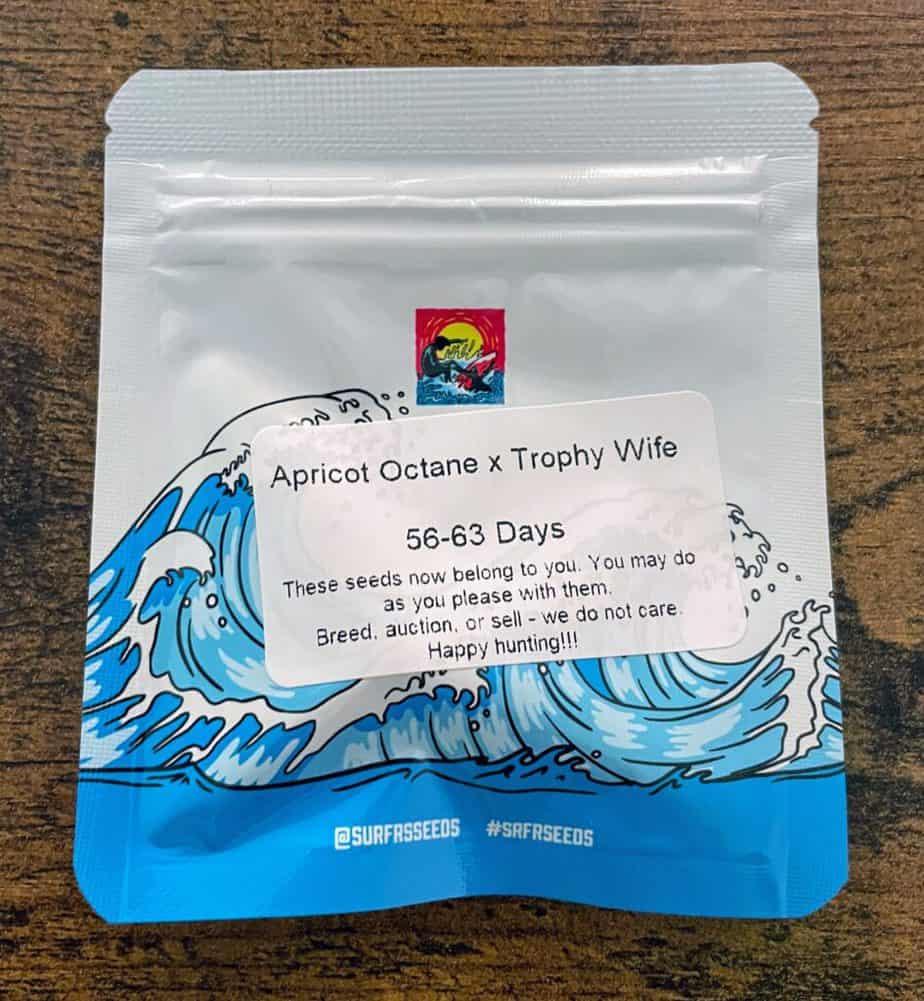Surfr Seeds: Apricot Octane x Trophy Wife - Luscious Genetics