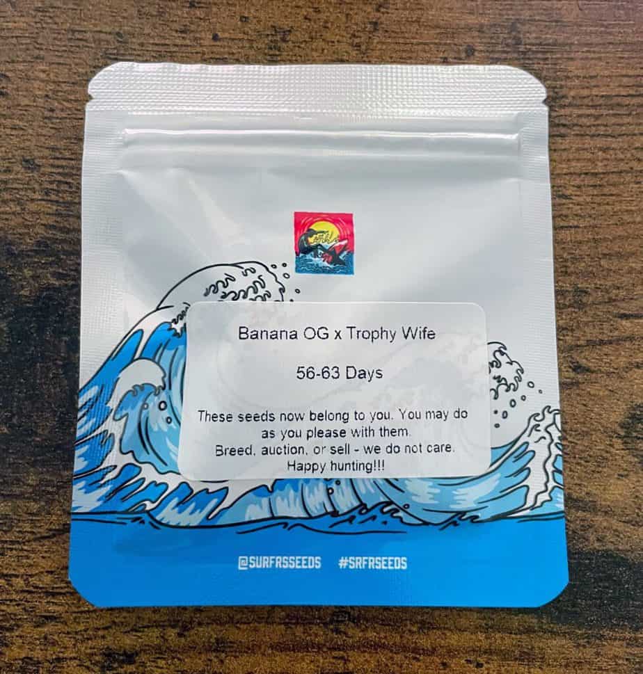 Surfr Seeds Banana Blast - Luscious Genetics