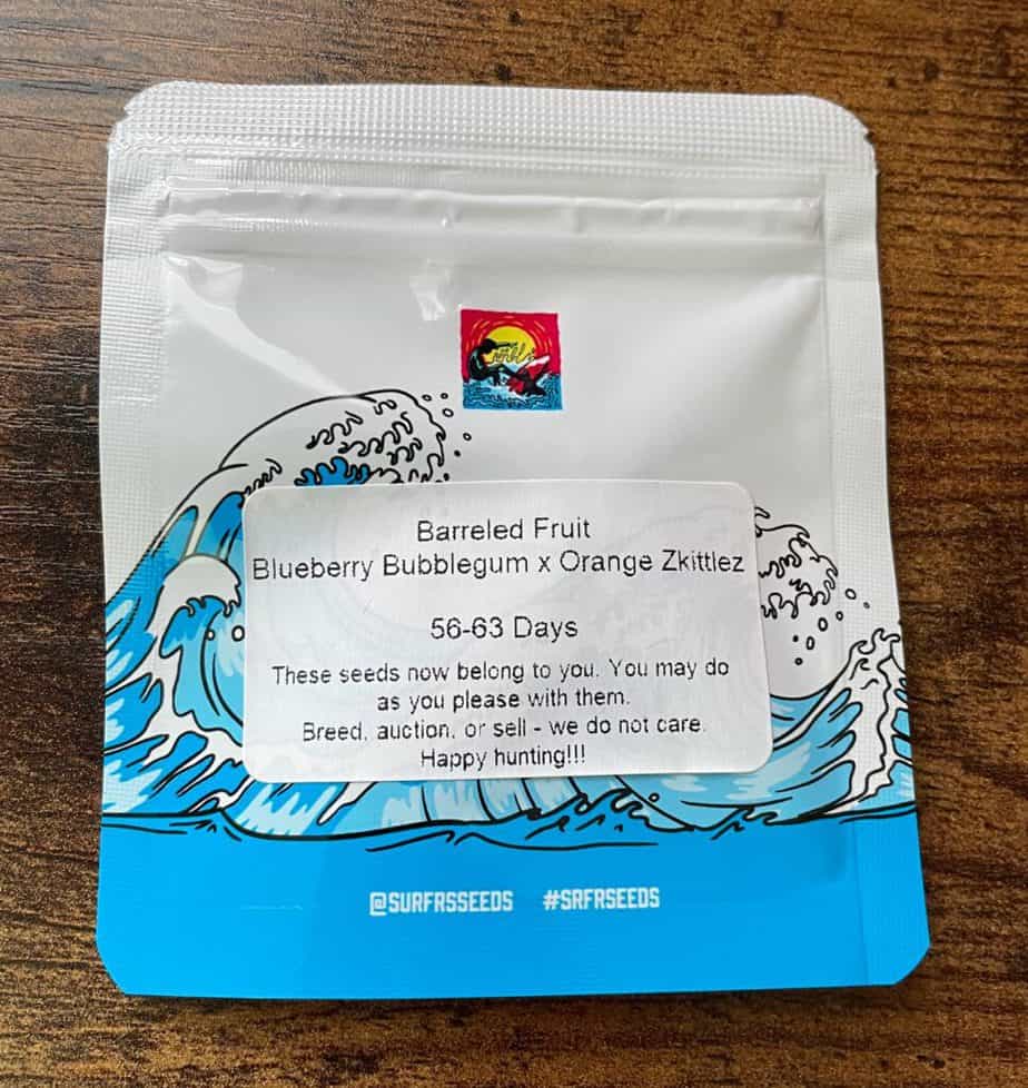 Surfr Seeds Barreled Fruit - Luscious Genetics