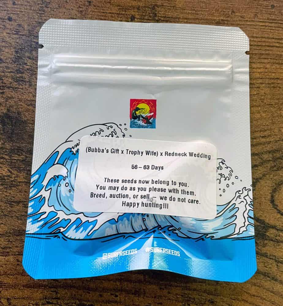 Surfr Seeds - Luscious Genetics