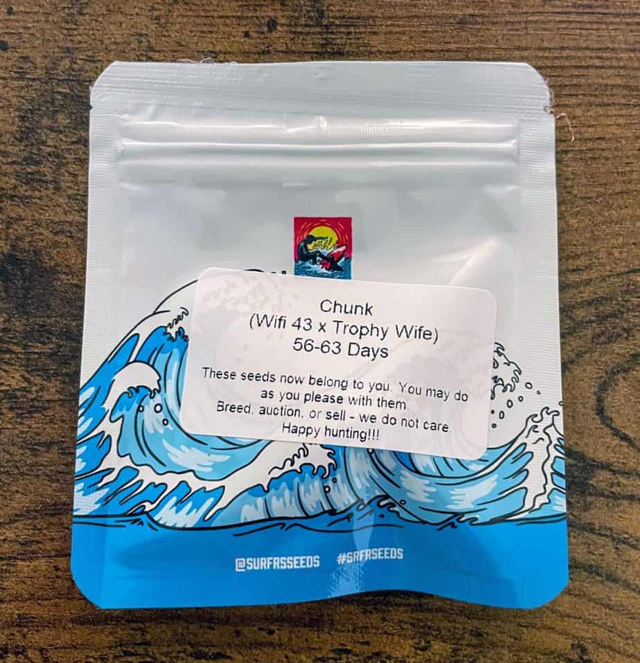 Surfr Seeds Chunk - Luscious Genetics