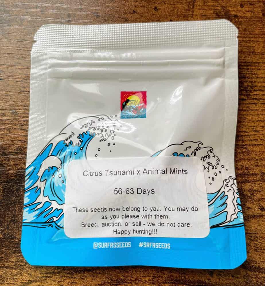 Surfr Seeds: Citrus Tsunami x Animal Mints - Luscious Genetics