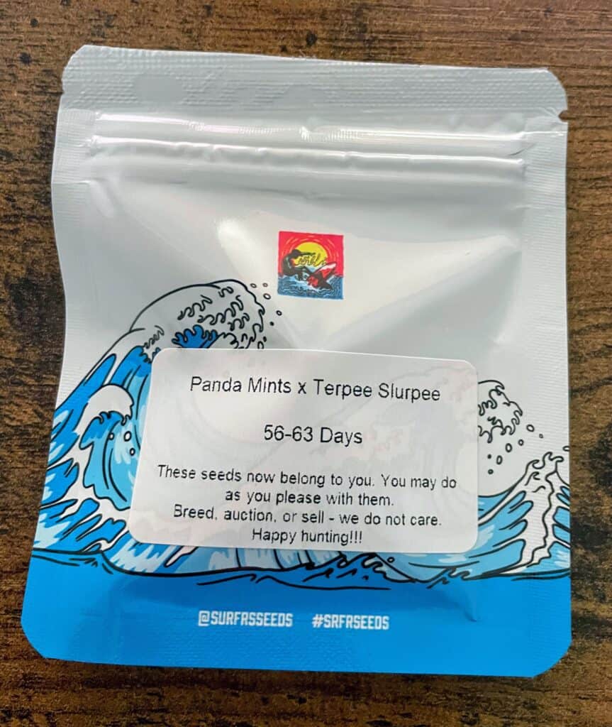 Surfr Seeds: Panda Mints x Terpee Slurpee - Luscious Genetics