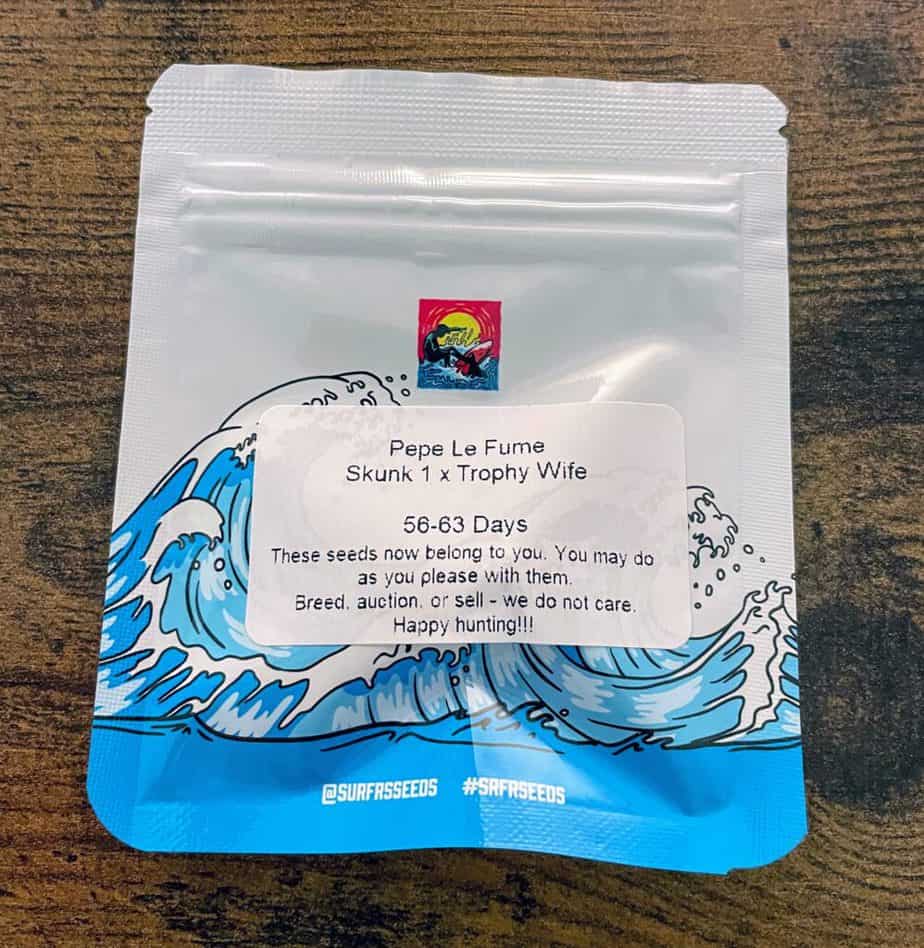 Surfr Seeds - Luscious Genetics